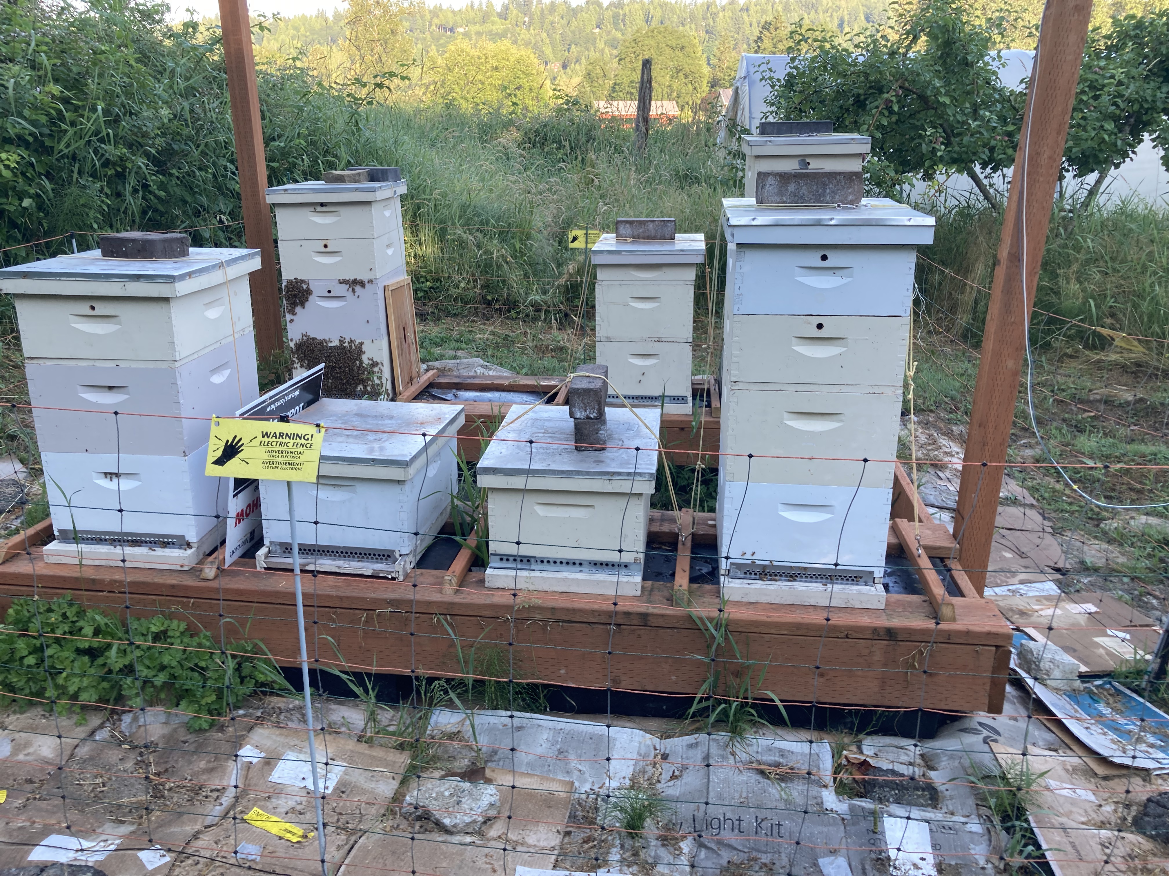Floating Apiary: Our Snoqualmie Valley Experience – wild sprout