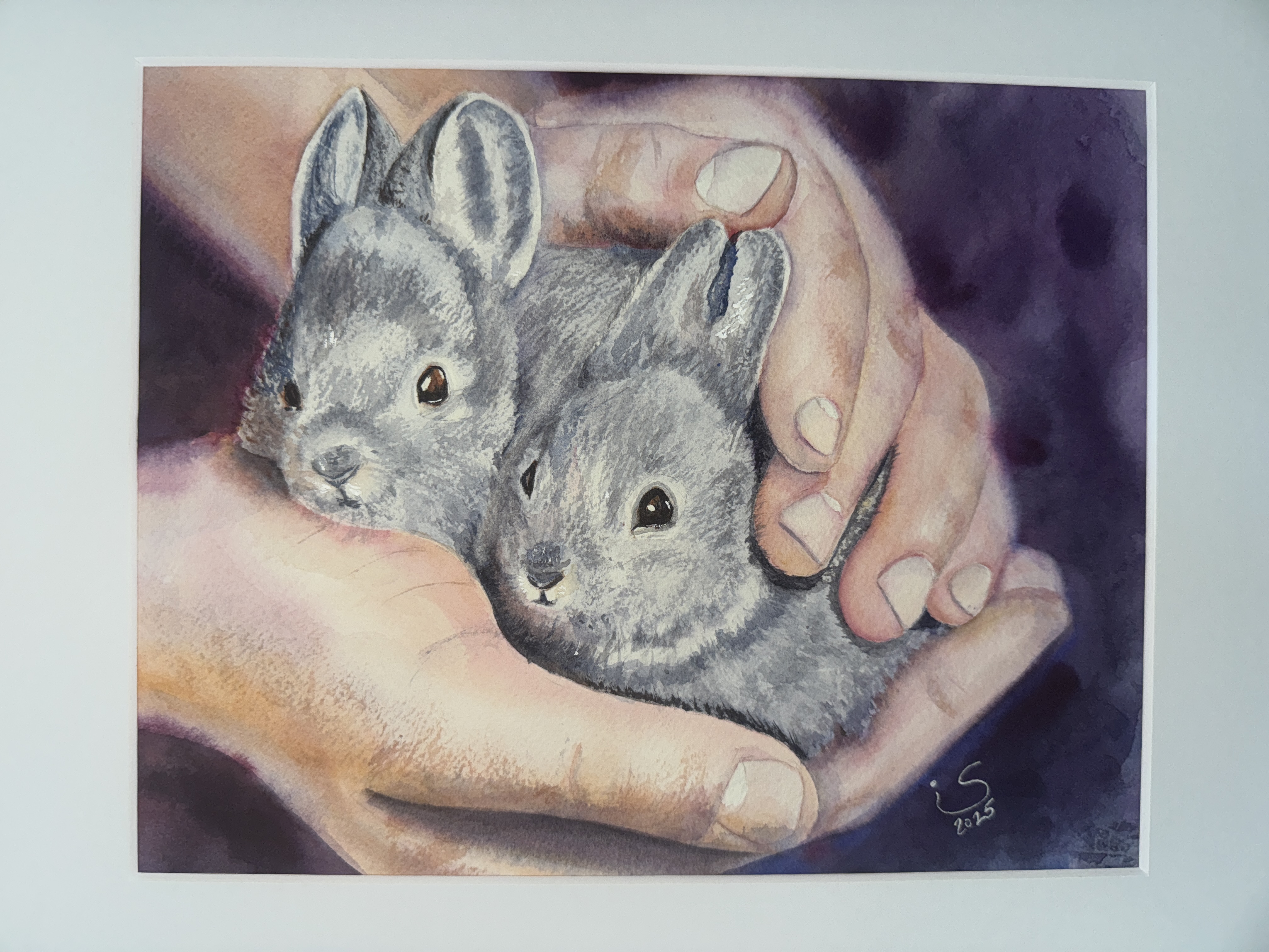 Pygmy Rabbit – Columbia Basin Population – wild sprout
