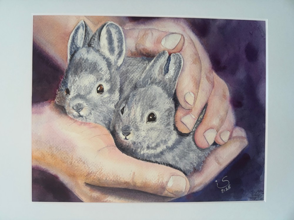 Pygmy Rabbit – Columbia Basin Population – wild sprout