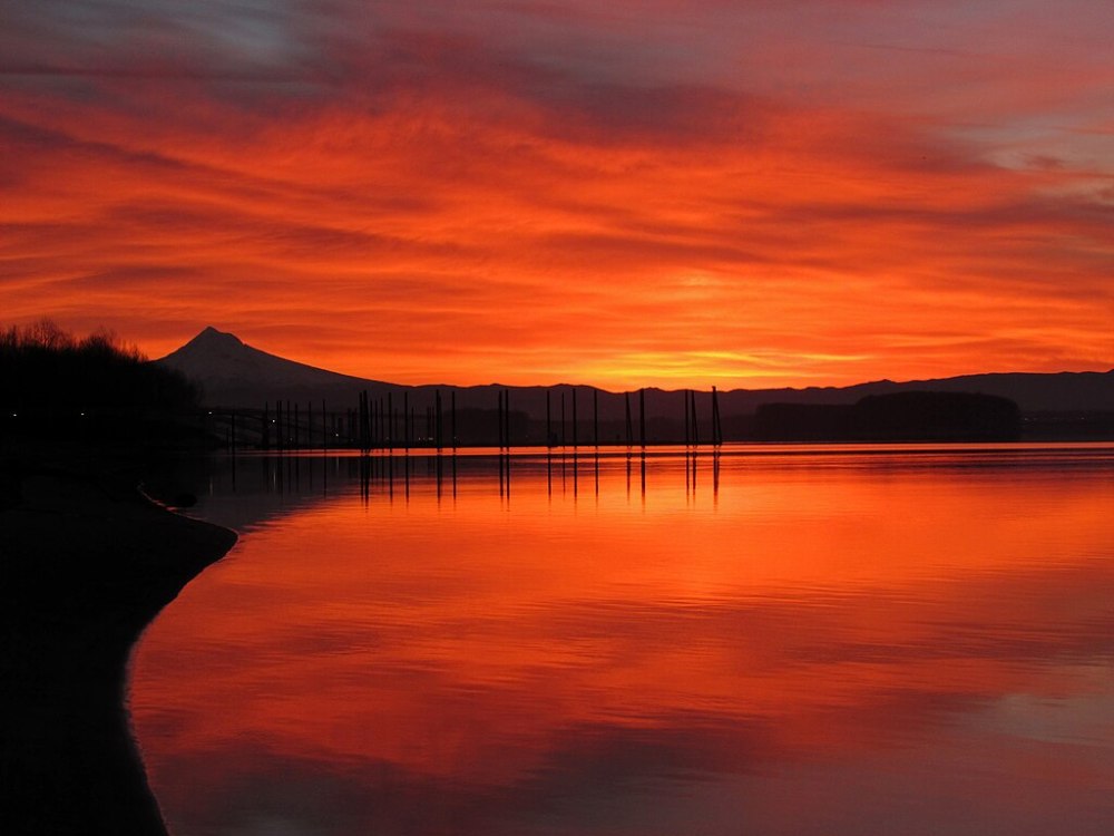 Discover Washington’s Unique Natural Habitats – wild sprout