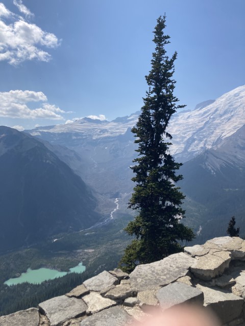 Discover Washington’s Unique Natural Habitats – wild sprout