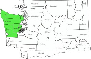Discover Washington’s Unique Natural Habitats – wild sprout