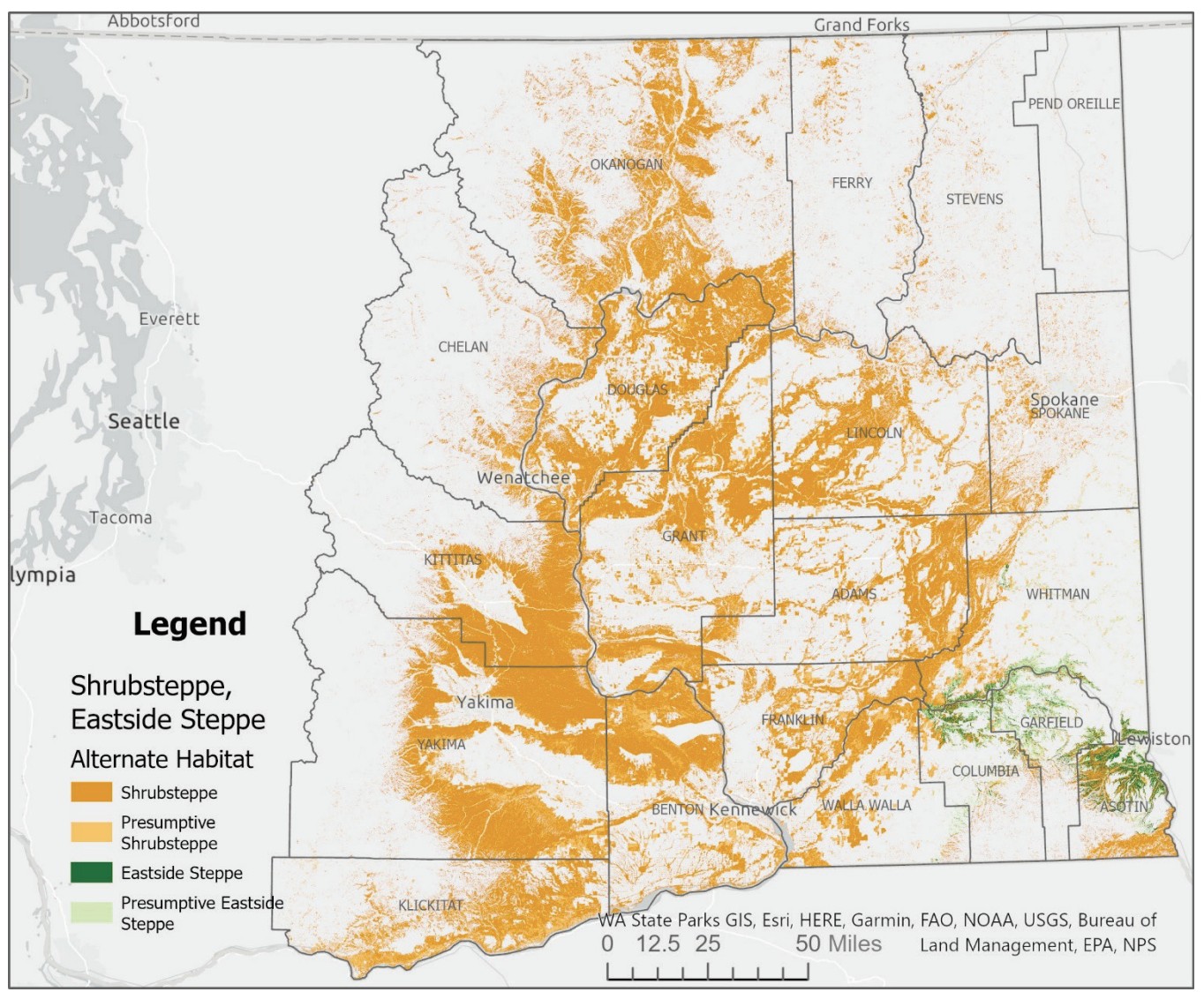 Shrubsteppe of Washington – wild sprout